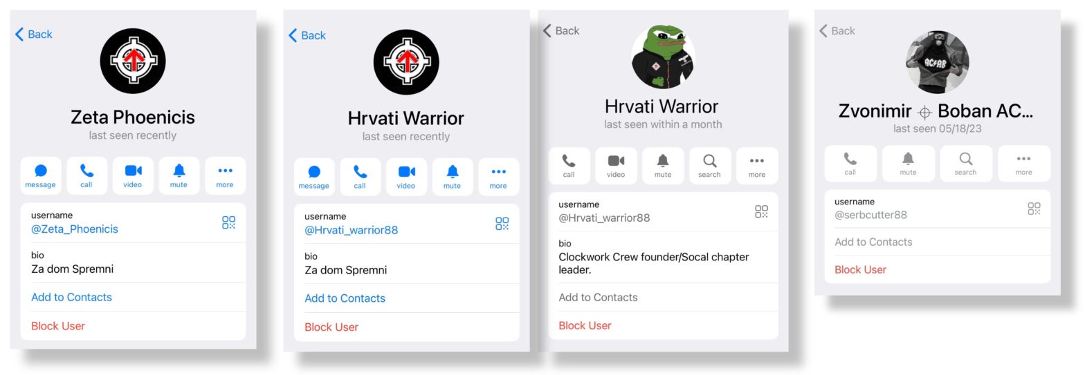 From Soldier to Sweaty Selfies and Swastikas: The Contradictory Persona ...